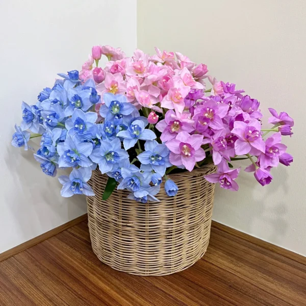 เดฟโฟดิลTYx2 – Sisterflowerbkk